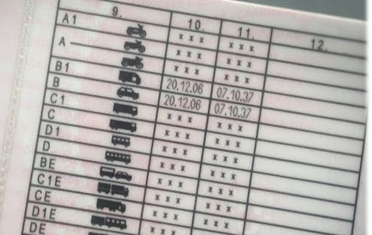 Carta de condução: como renovar/revalidar? - PRP